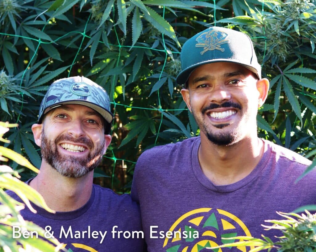 The Story Behind Our Biggest Flower Sale of the Year - Solful