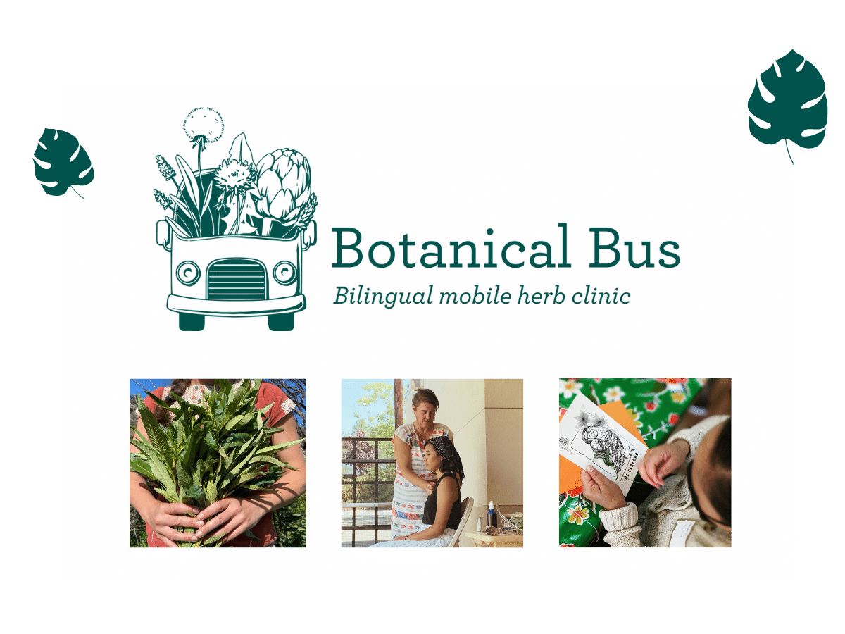 Botanical Bus - Solful