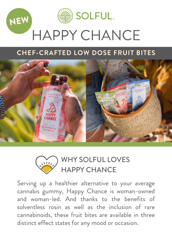Meet the Founder of Happy Chance - Solful